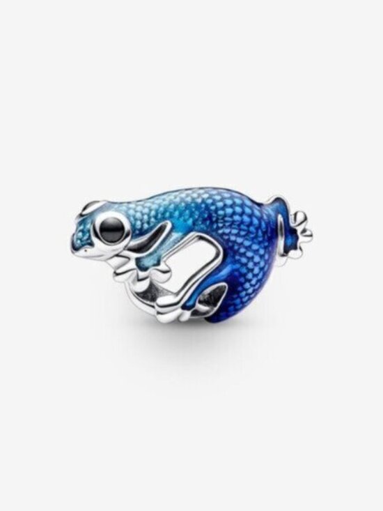 Pandora | Jewelry | Pandora Charms | Poshmark